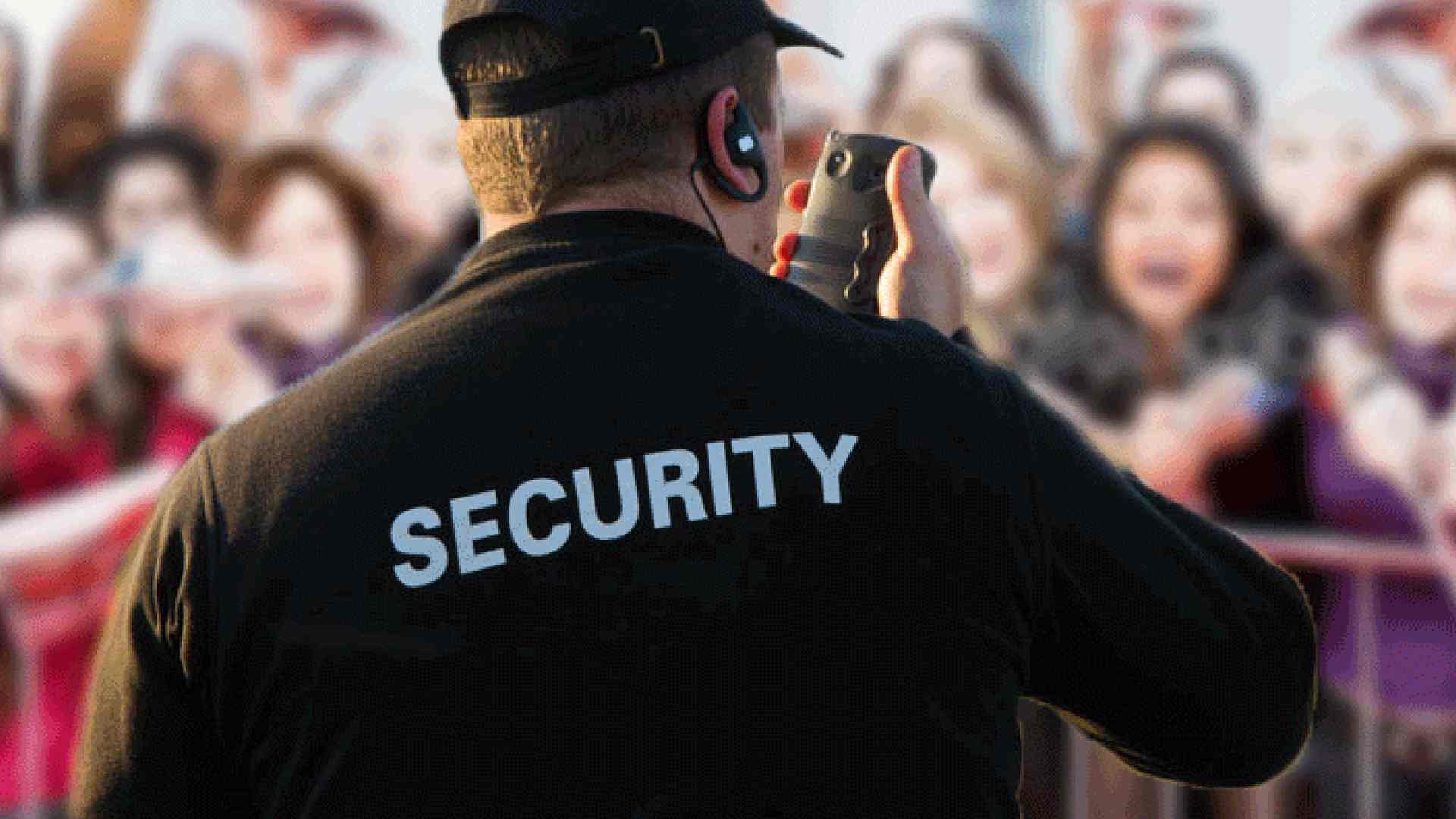 Exploring the Role of Private Security in Event Management