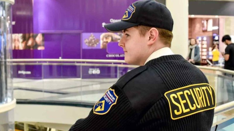 Overview the Importance of a Dubai Mall Security